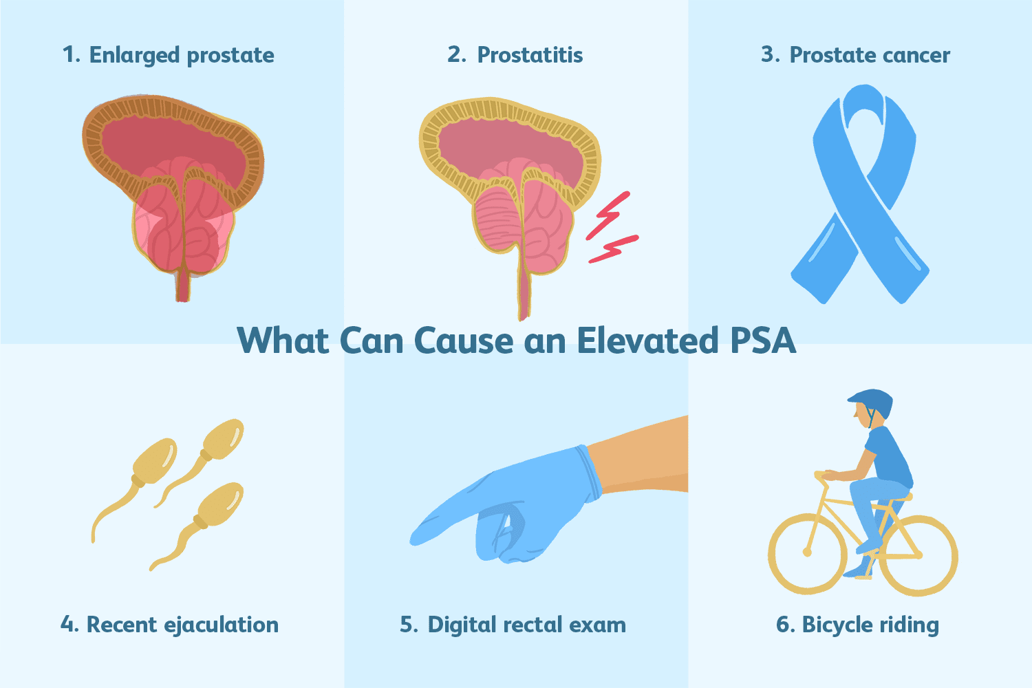 Digital Rectal Examination Dr Aditya K Sharma